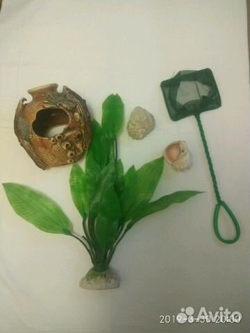 Принадлежности для акквариума