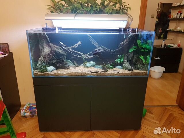 Аквариум в стиле ADA 325 литров