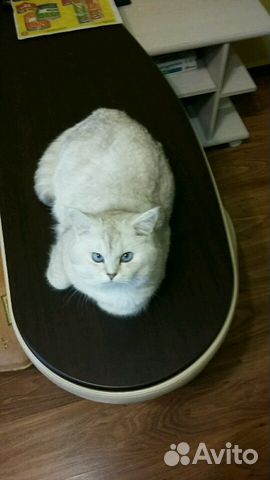 Вязка
