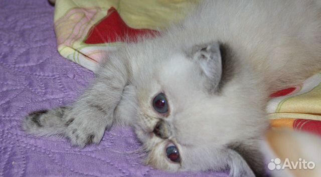 Игрушечный малыш