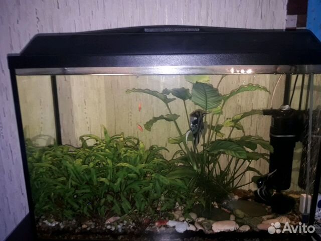 Продам аквариум