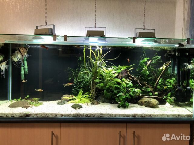 Аквариум 500л с тумбой