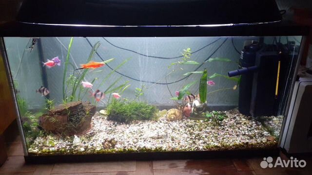 Аквариум 100 л