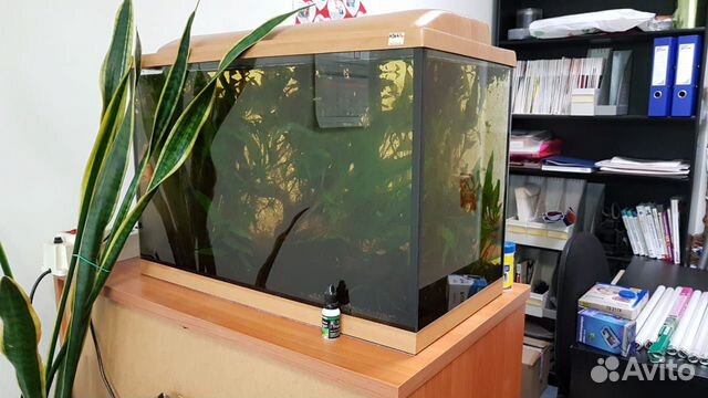 Аквариум aquael 72литра