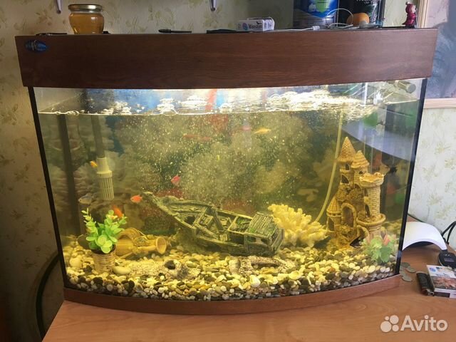 Аквариум 100 литров, все для него + рыбки