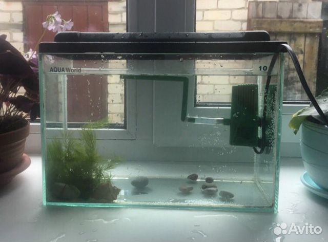 Аквариум