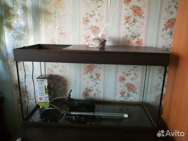 Аквариум, аэратор и лампа