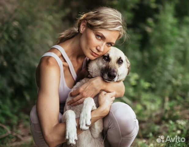 Найда. Собака грациозная