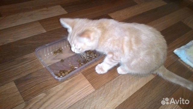 Пусть мама меня непременно найдёт