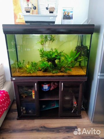 Аквариум 300 л