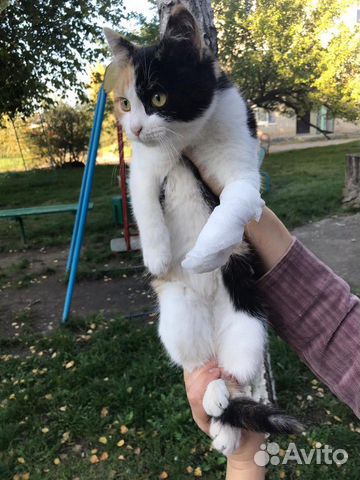 Особенная Симона в добрые руки, 6 месяцев