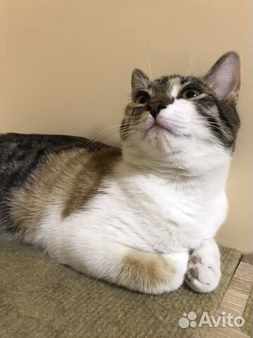 Малышка Нюша