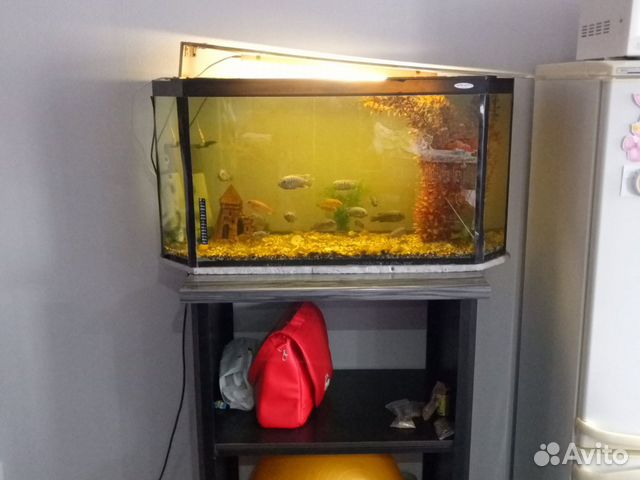 Аквариум 200л комплект