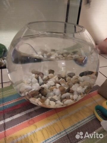 Аквариум шар 3 литра