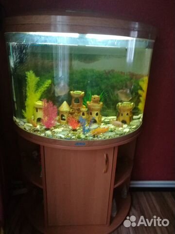 Продам аквариум 200 литров