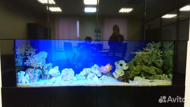 Аквариум
