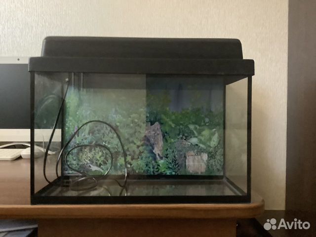 Аквариум 19 л