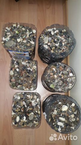 Грунт из аквариума