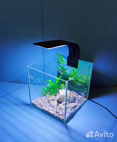 Аквариум