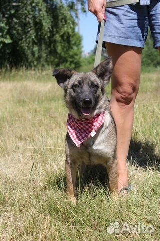 Кики может не проснуться завтра.Спасите малышку