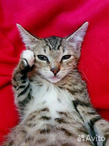 Младший лейтенант Константин ищет свою половинку