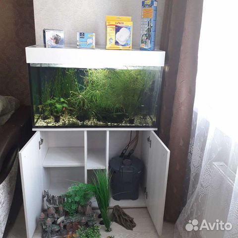 Аквариум и аквариумные принадлежности