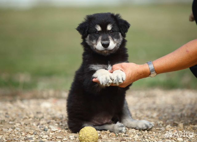 Малыш ждёт свою семью