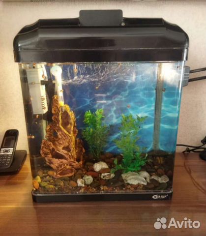 Аквариум 30 л + комплектующие