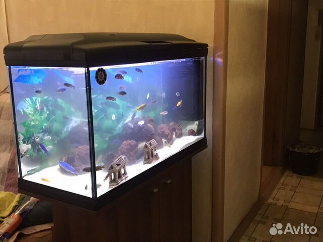 Аквариум 120 литров