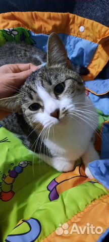 Кузя и Луиза