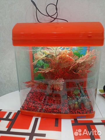Аквариум