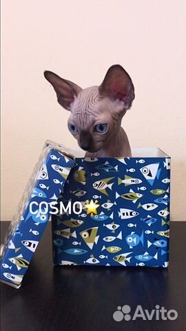 Лучший твой подарочек это Я