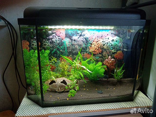 Аквариум