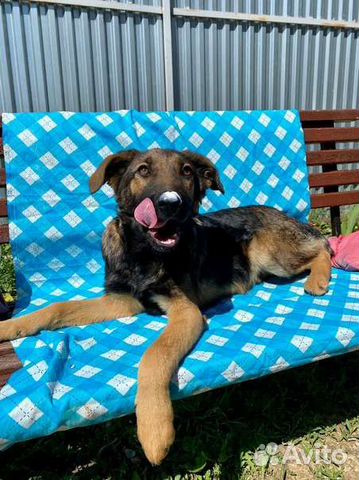 Добрый парнишка