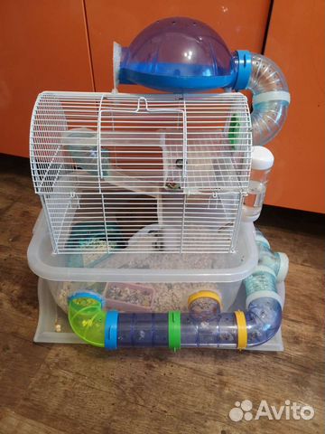 Джунгарик Хомячок с клеткой, 3 мес, мальчик