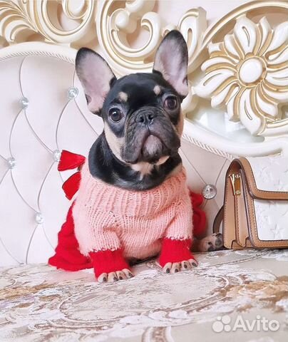 Маленькая куколка