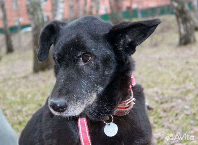 Скромный Тимоша надеется уехать домой