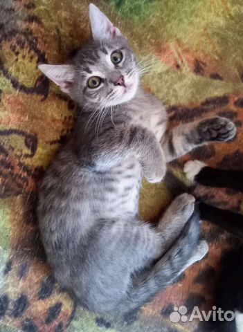 В добрые руки мальчик