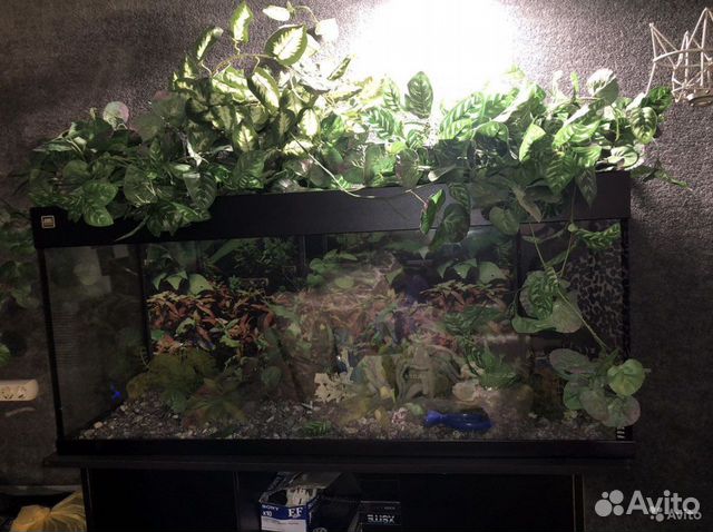 Аквариум Juwel 240 литров с тумбой