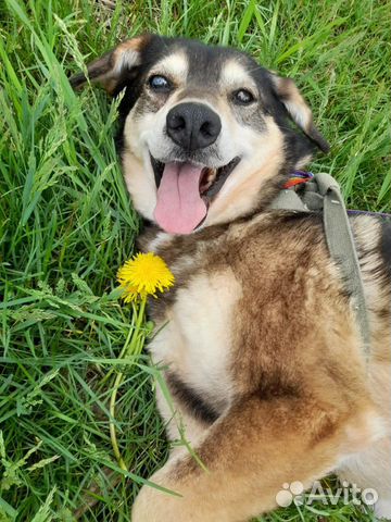 Каждый день это страдания