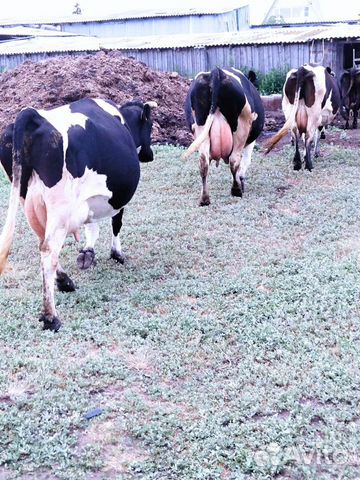 Продажа готового бизнеса