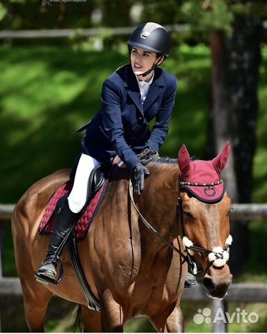 Продам лошадь