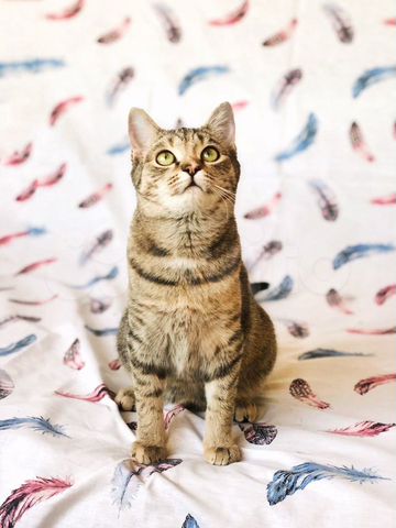 Флора в самые добрые ручки