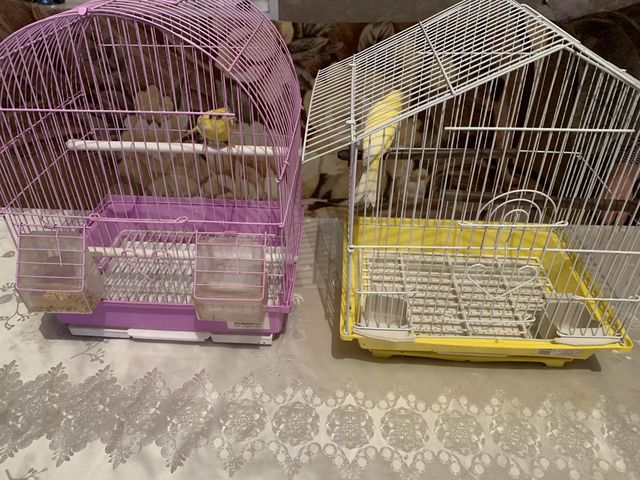 Конорейка с клеткой