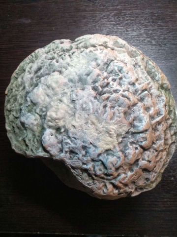 Остров для черепашки