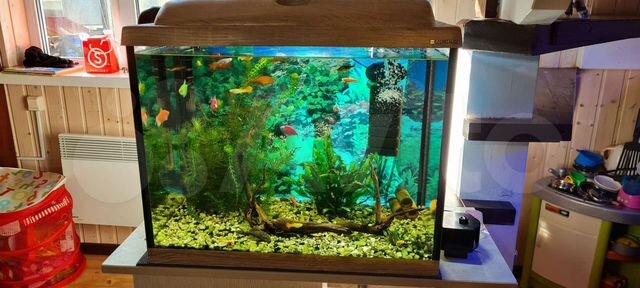 Аквариум с тумбой aquaplus 55литров