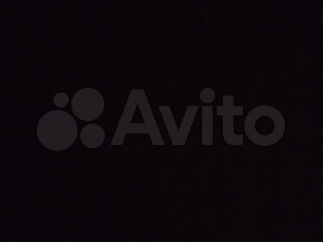 Инкубационные яйца страуса